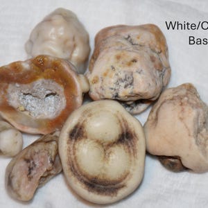 Hard to Find Bubblegum Agate Color Sampler Specimen Set INTRODUCTORY ...