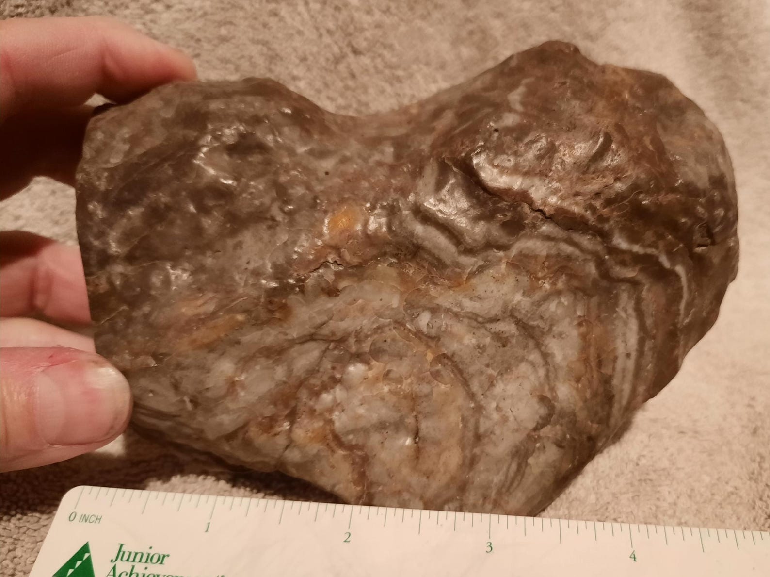 Naturally Polished Grey Hued Prairie Agate - Freestanding (cut ...