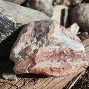 Large and Loud Red, White, and Grey Prairie Agate Decorative Stone ...