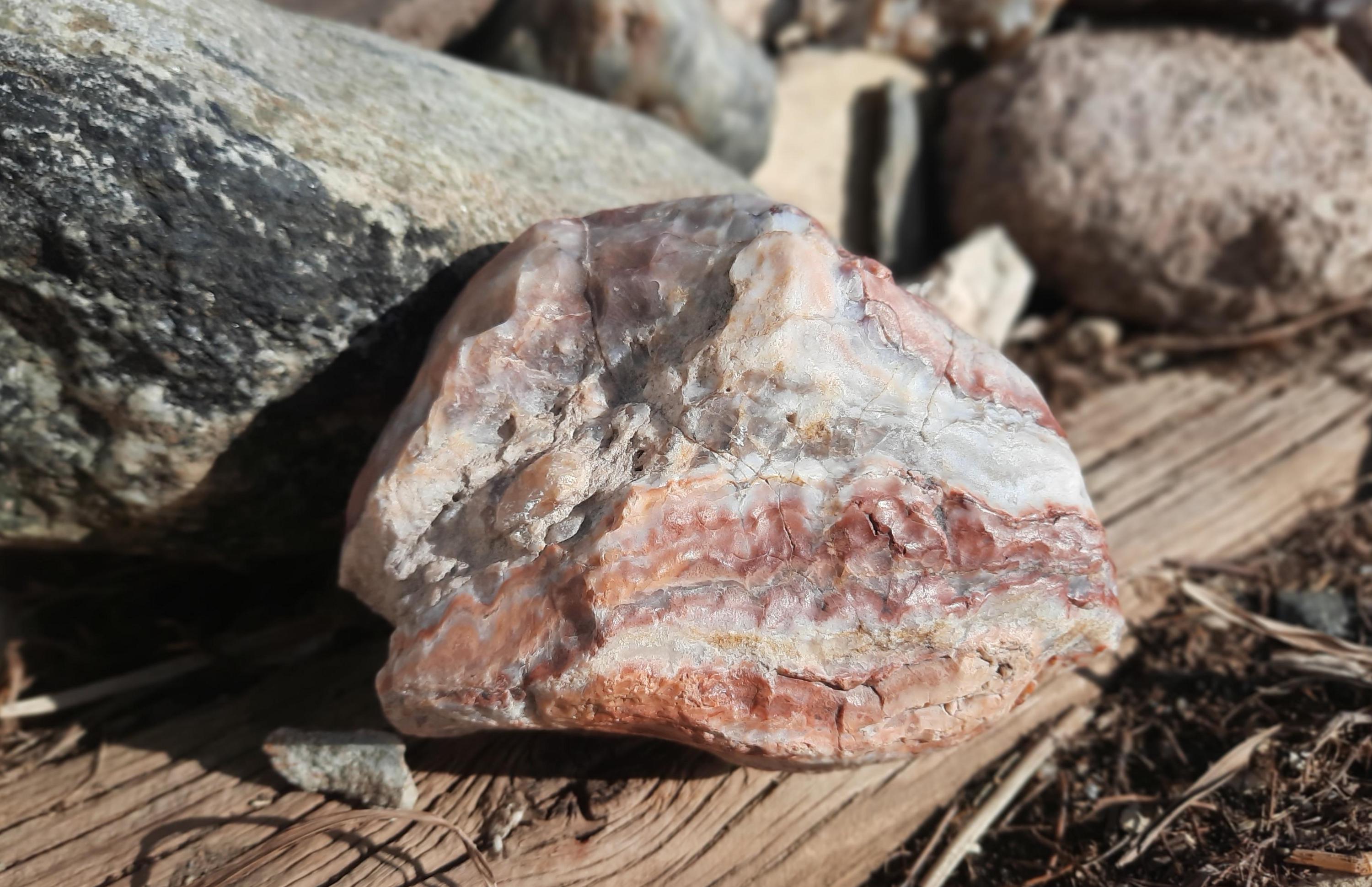 Large and Loud Red, White, and Grey Prairie Agate Decorative Stone ...