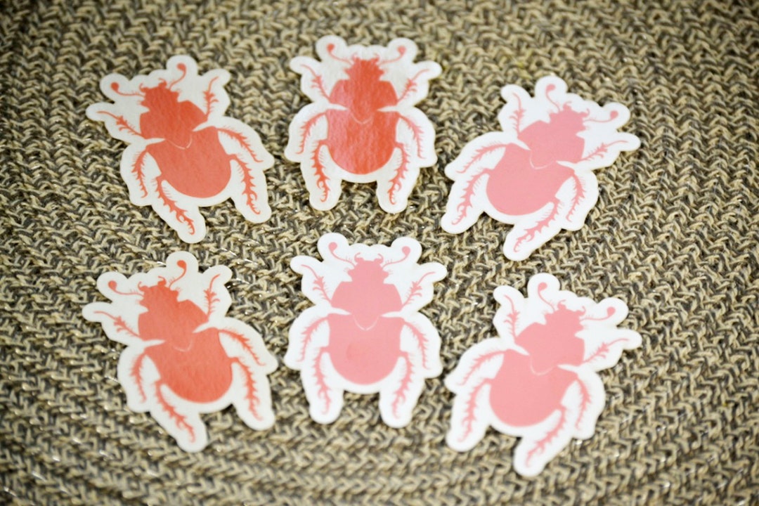 Beetle 2" Sticker, Beetle Sticker, Beetle Decal, Laptop Decal, Creepy ...