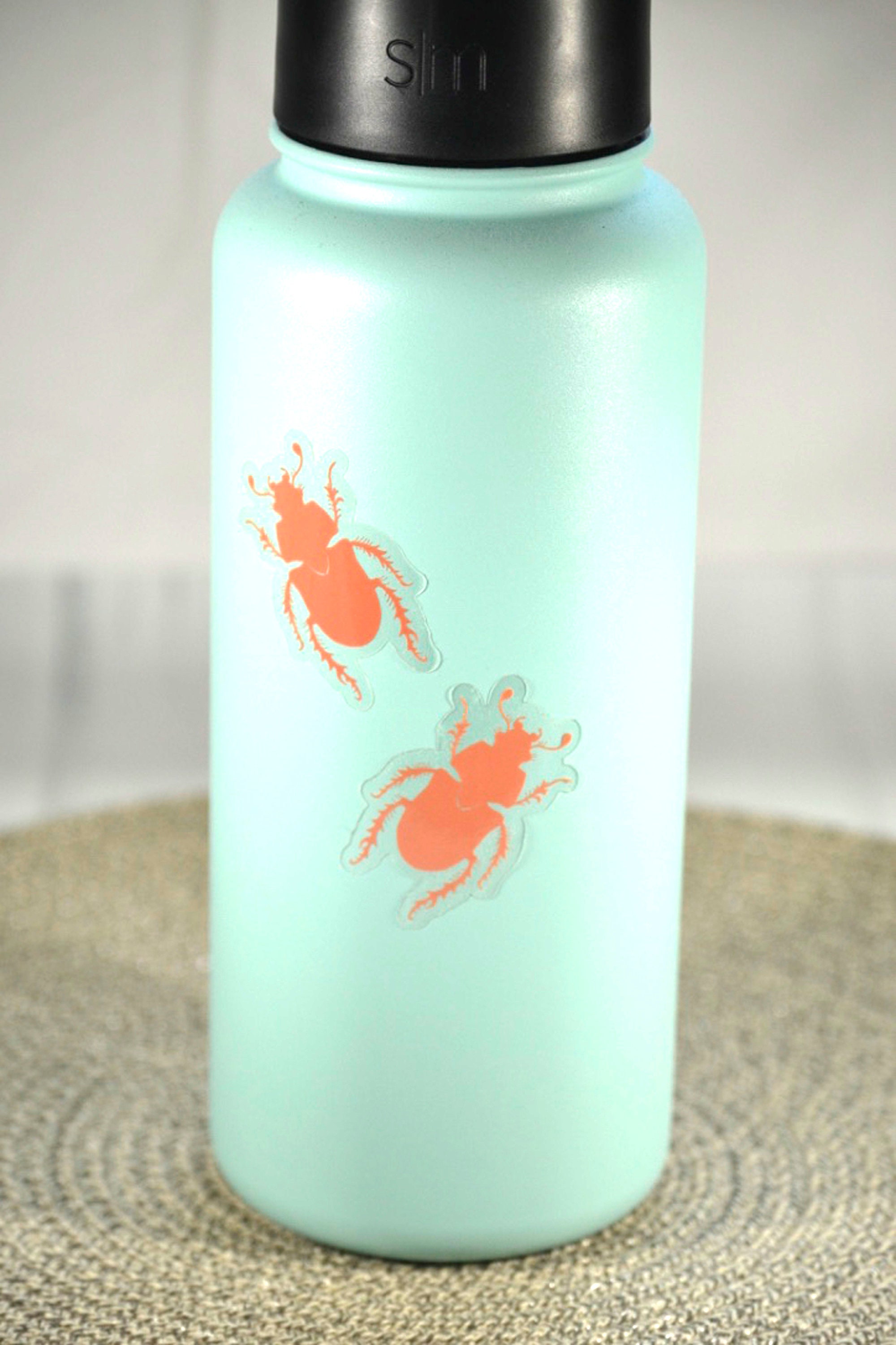 Beetle 2