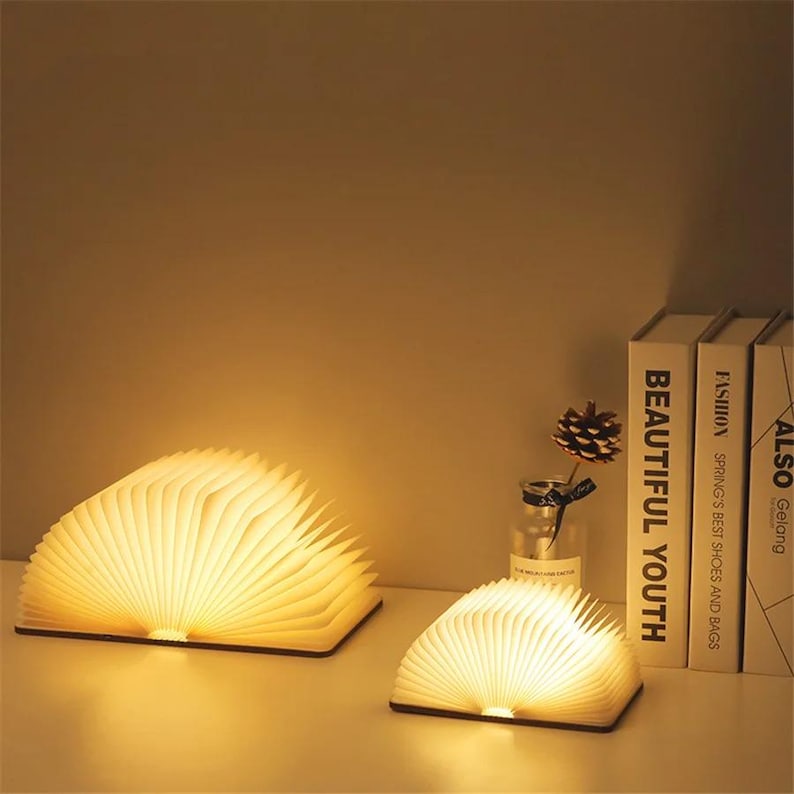 Wicked Book Lamp, Glinda and Elphaba Split Scene, Good Witch and Wicked ...
