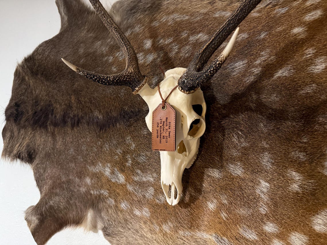 Personalized Leather Taxidermy Tags - Etsy