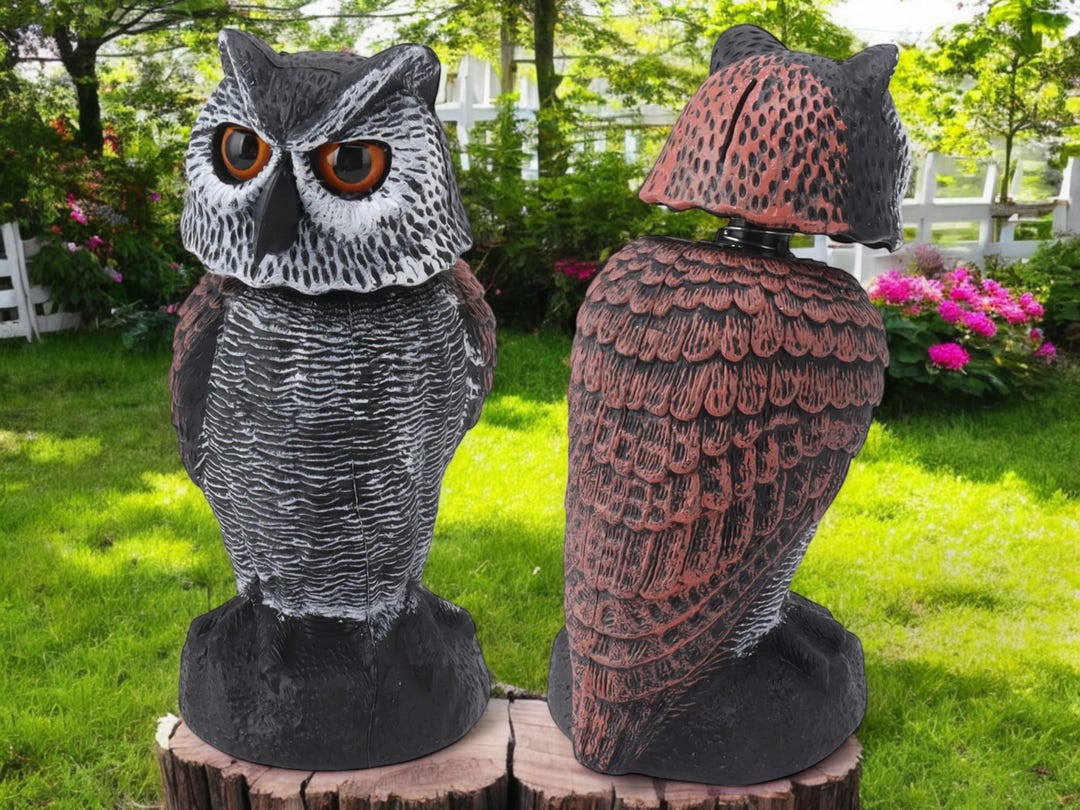 Realistic Owl | Shake Head Fake Owl to Deter Birds - Etsy