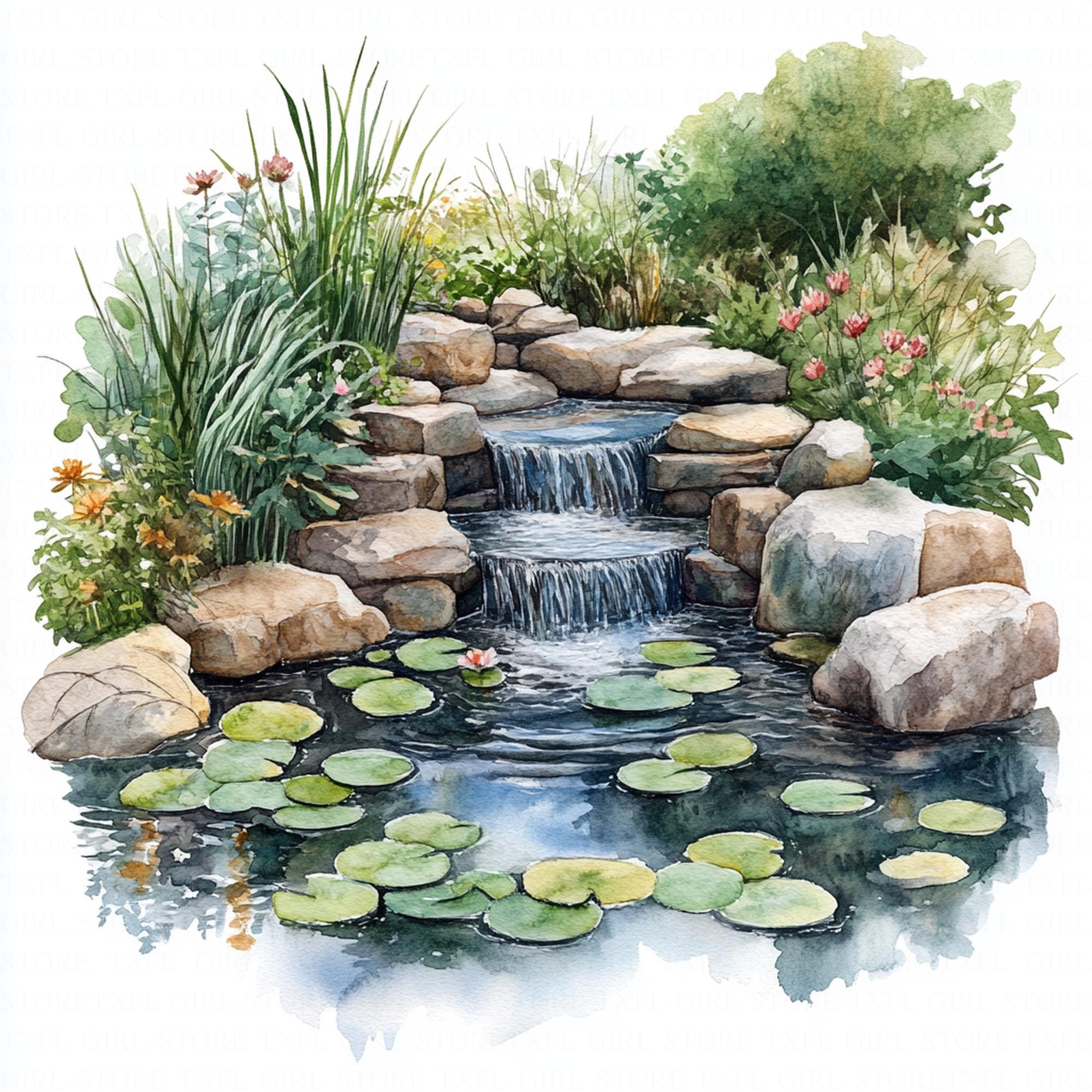 Backyard Pond Clipart Bundle 10 High Quality Jpgs Instant Digital ...
