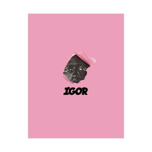 Tyler the Creator Igor Cover Print, Tyler the Creator Wall Art, Pink Poster Igor Wall Art, Music ...