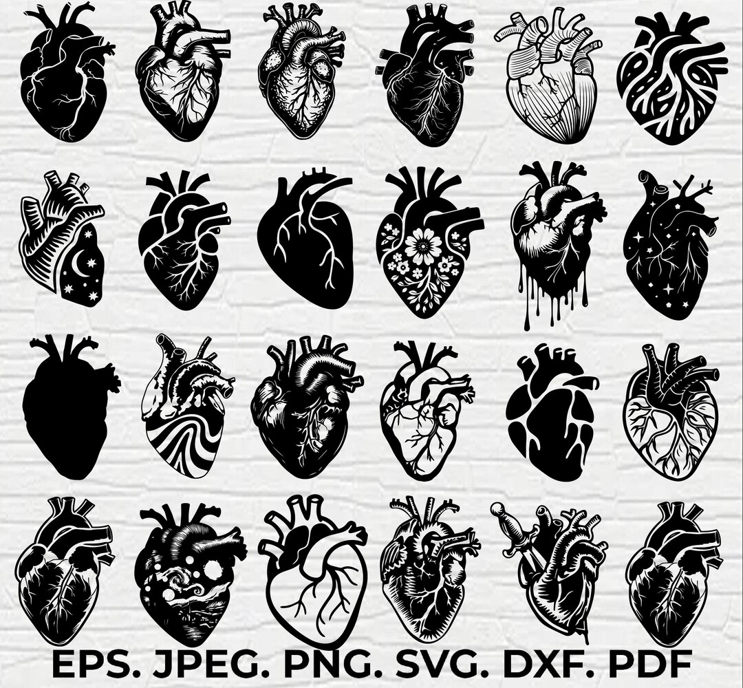 Anatomical Heart Svg Bundle, Human Heart Svg, Heart Svg Bundle ...