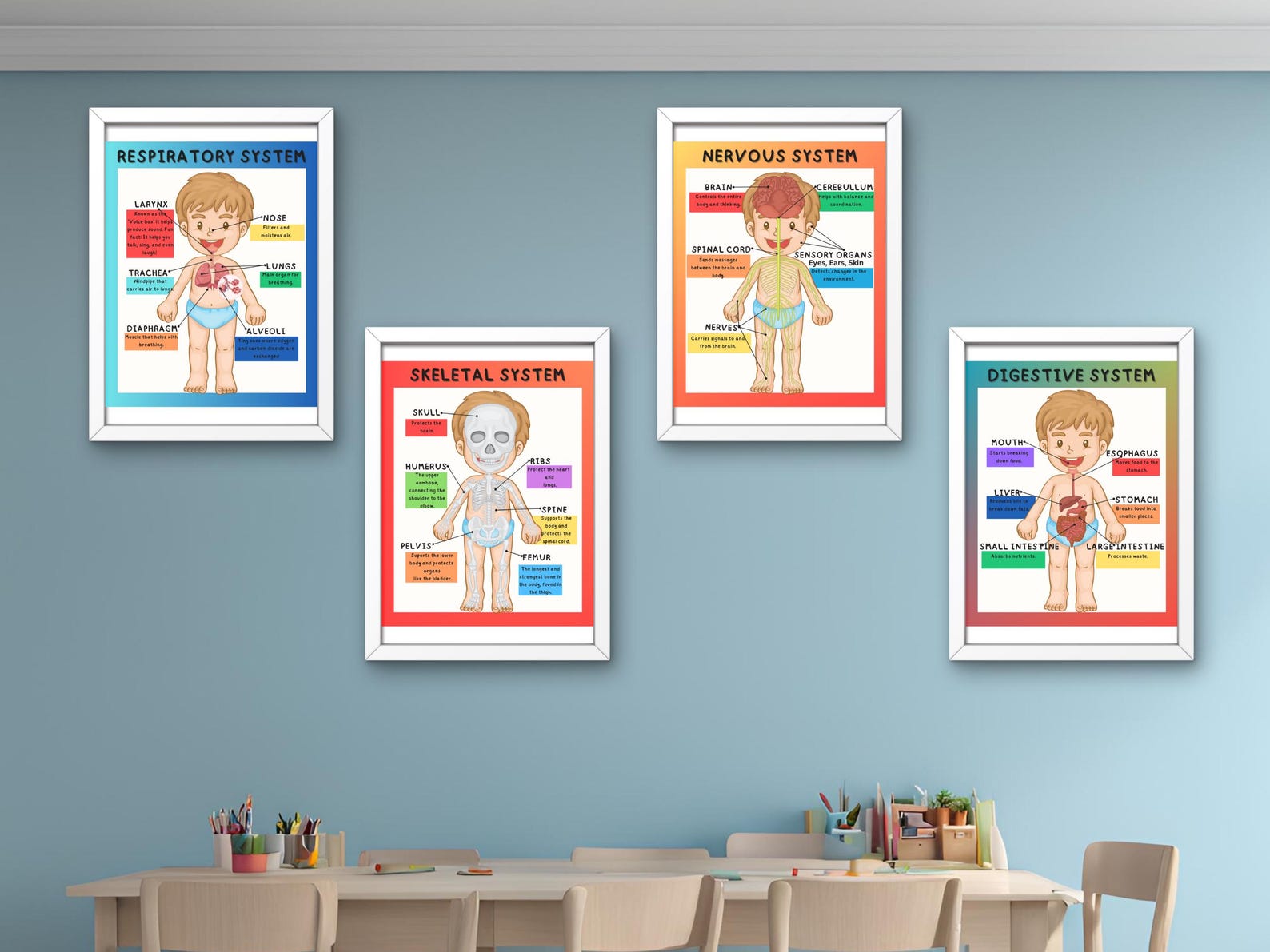 Science Posters for Kids: STEM Learning, Human Anatomy (PDF Set) - Etsy