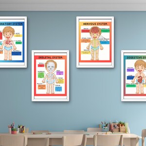 Science Posters for Kids: STEM Learning, Human Anatomy (PDF Set) - Etsy