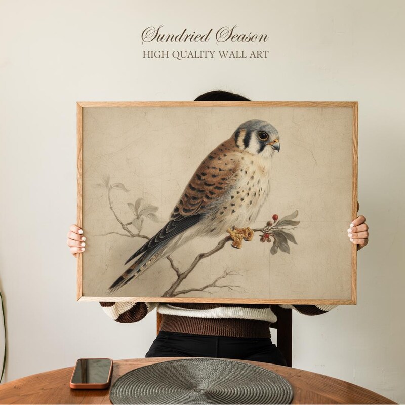 Kestrel Print - Etsy