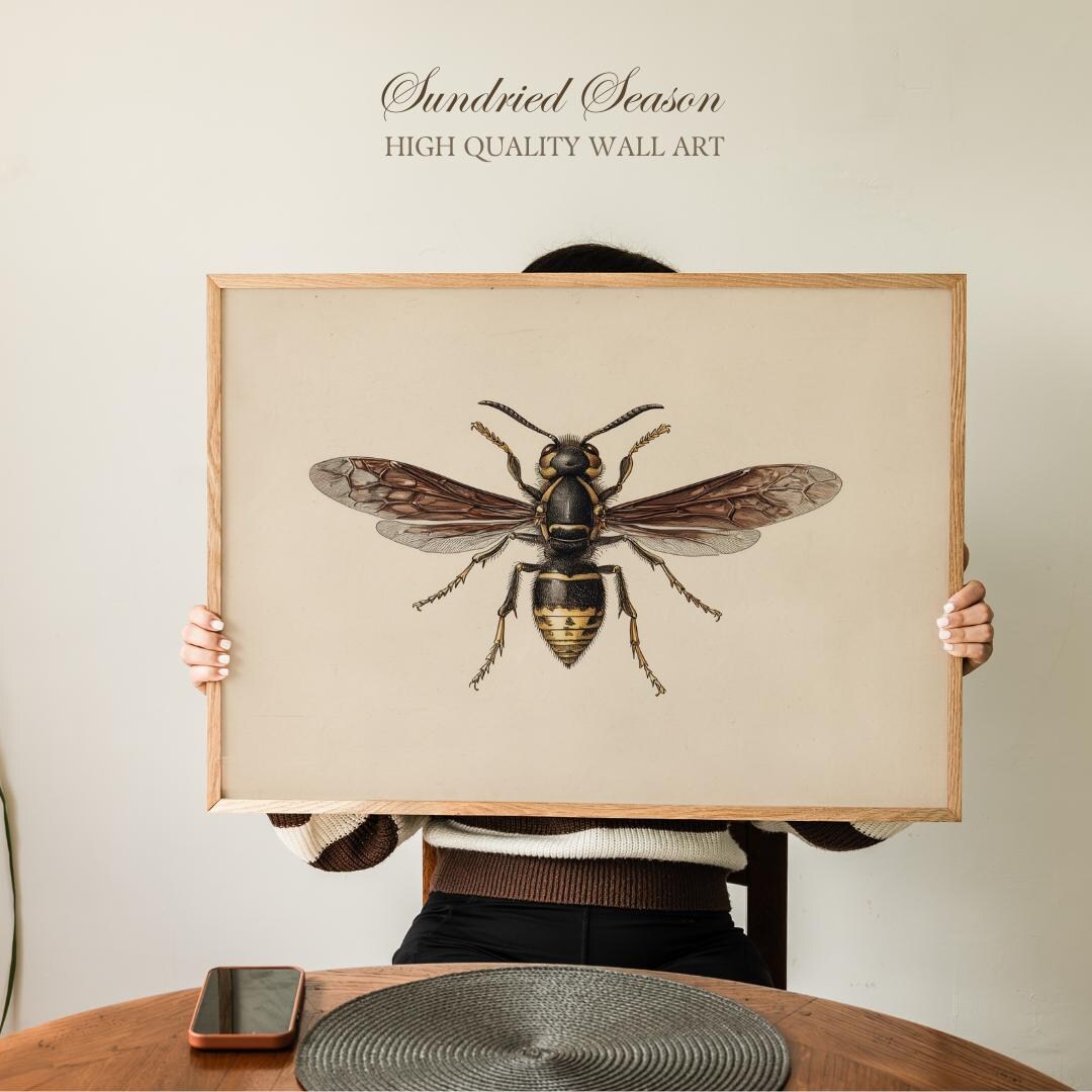 Vintage Hornet Insect Illustration Print, Detailed Entomology Wall Art ...