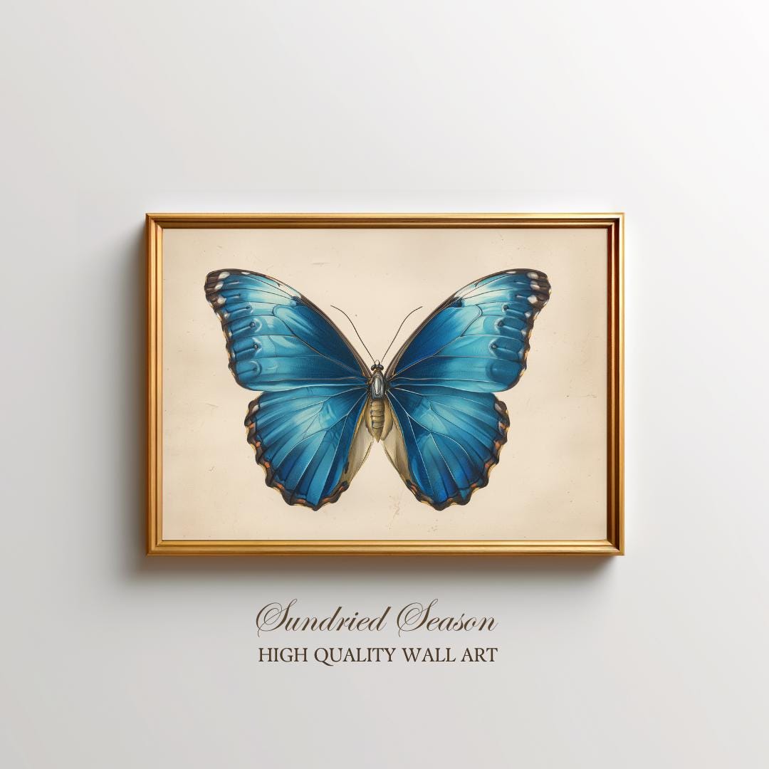 Vintage Blue Morpho Butterfly Art Print, Jungle Insect Illustration ...