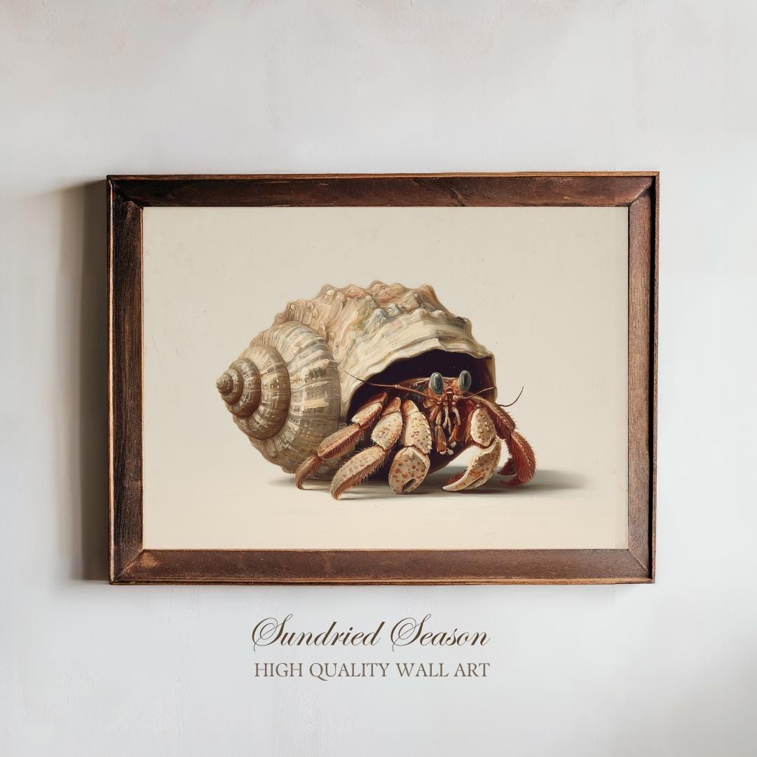 Vintage Hermit Crab Shell Art Print, Scientific Coastal Sea Life Poster ...