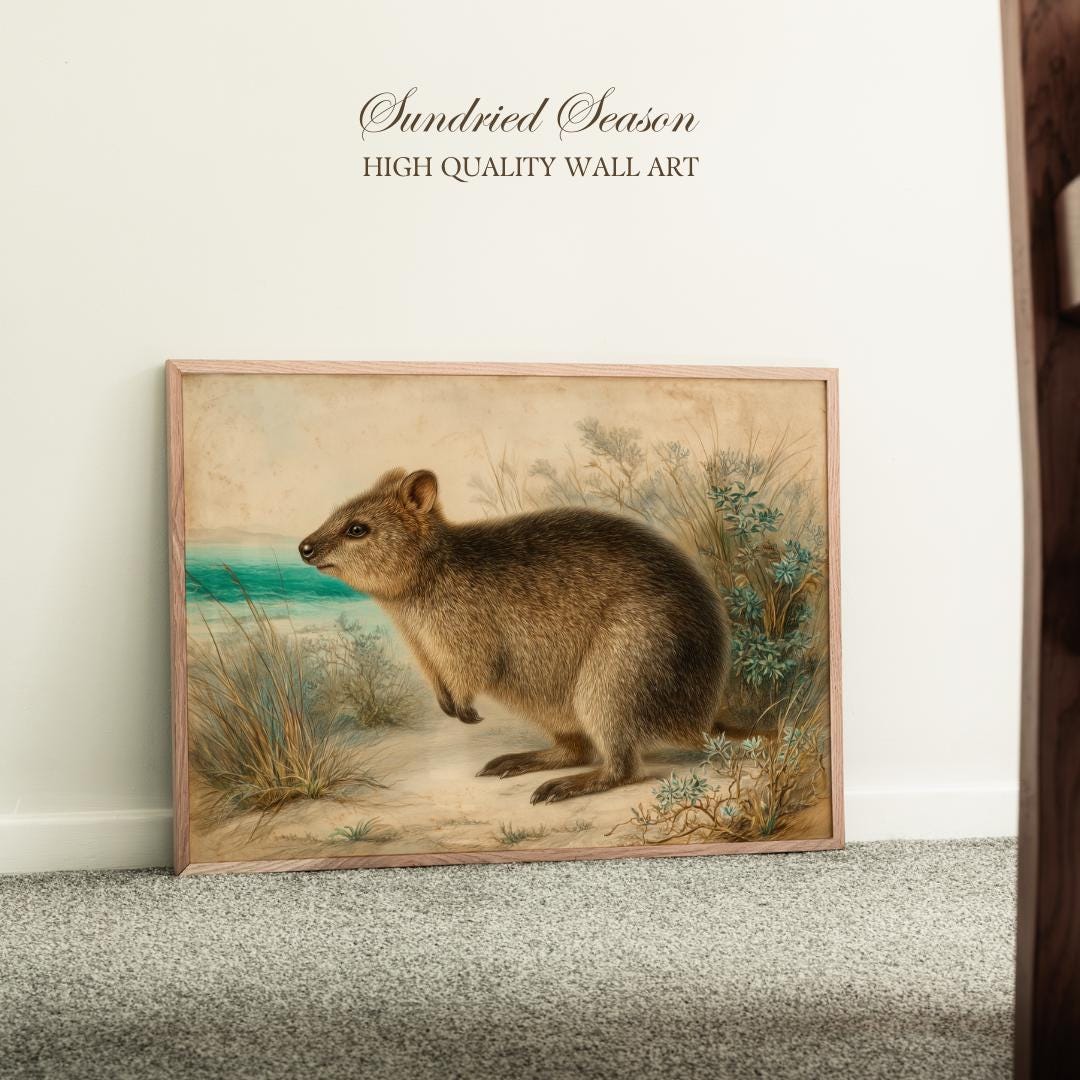 Vintage Quokka Art Print, Australian Marsupial by Coastal Bushland ...