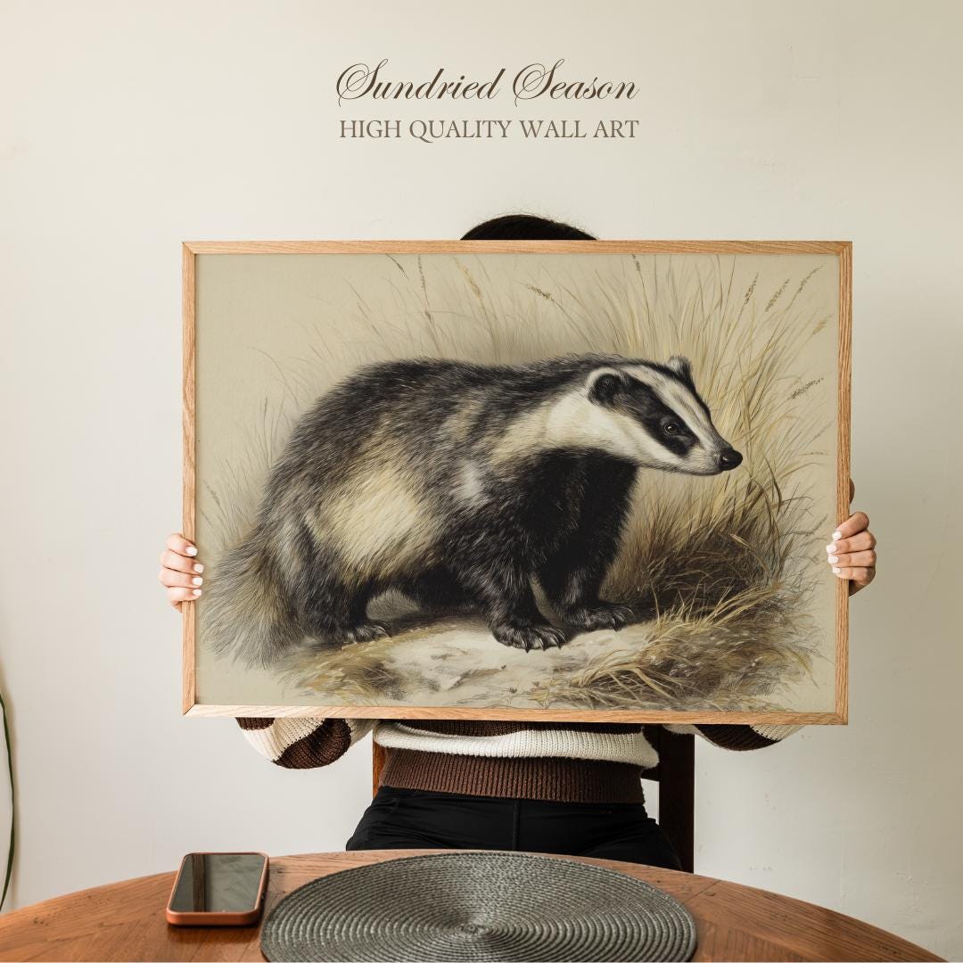 American Badger Wall Art Print, Prairie Wildlife Poster From South ...