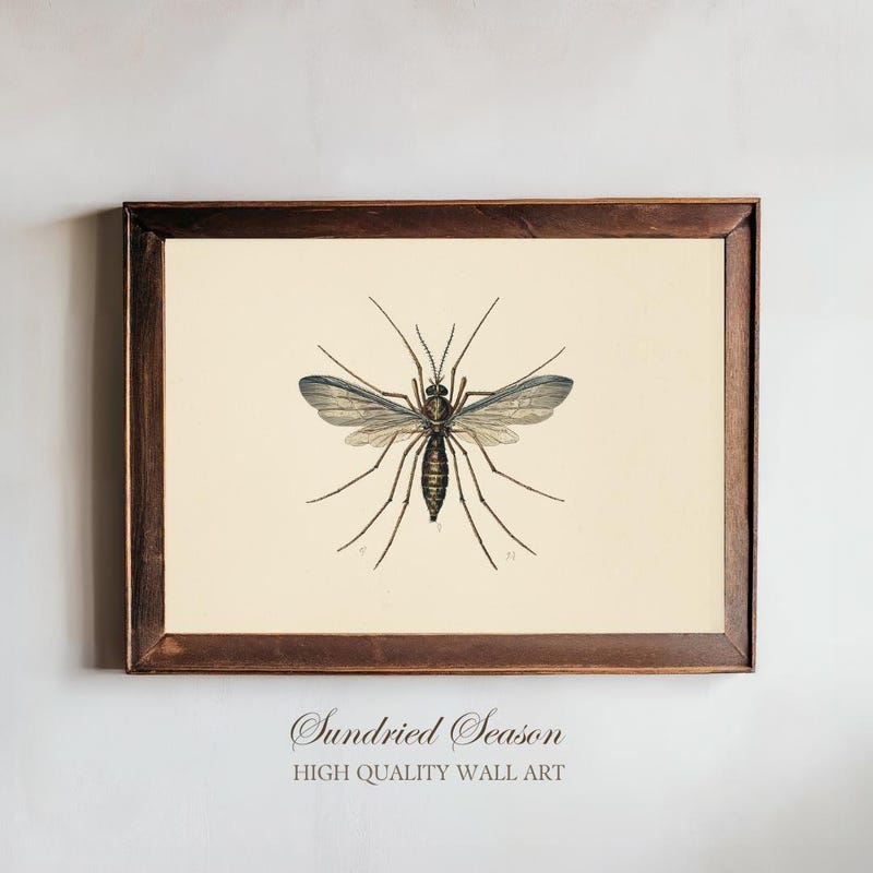 Mosquito Antique - Etsy
