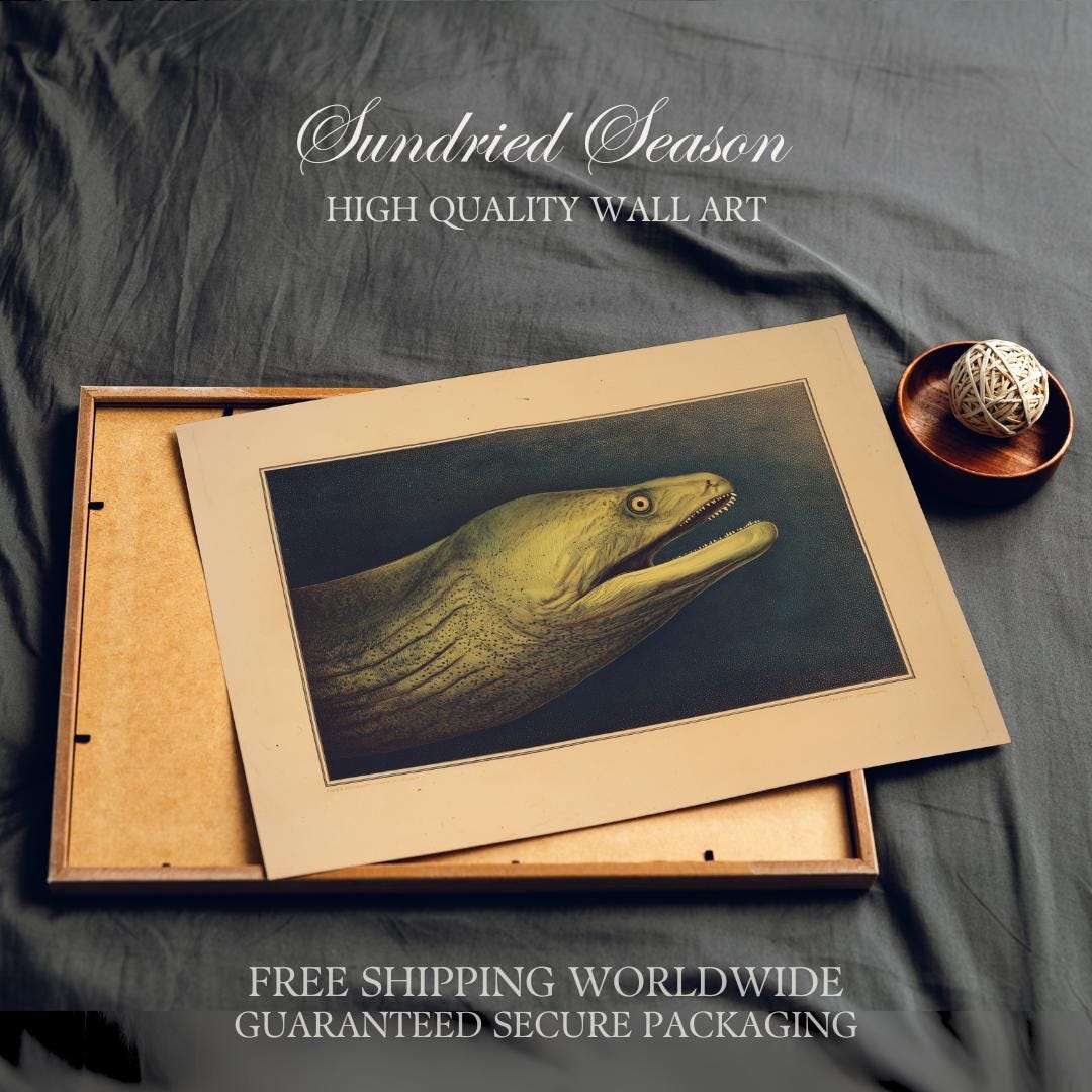 Moray Eel Illustration Art Print, Dark Vintage Ocean Creature Artwork ...