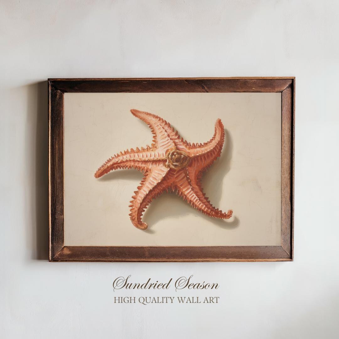 Vintage Starfish Illustration Art Print, Antique Marine Biology Sea ...