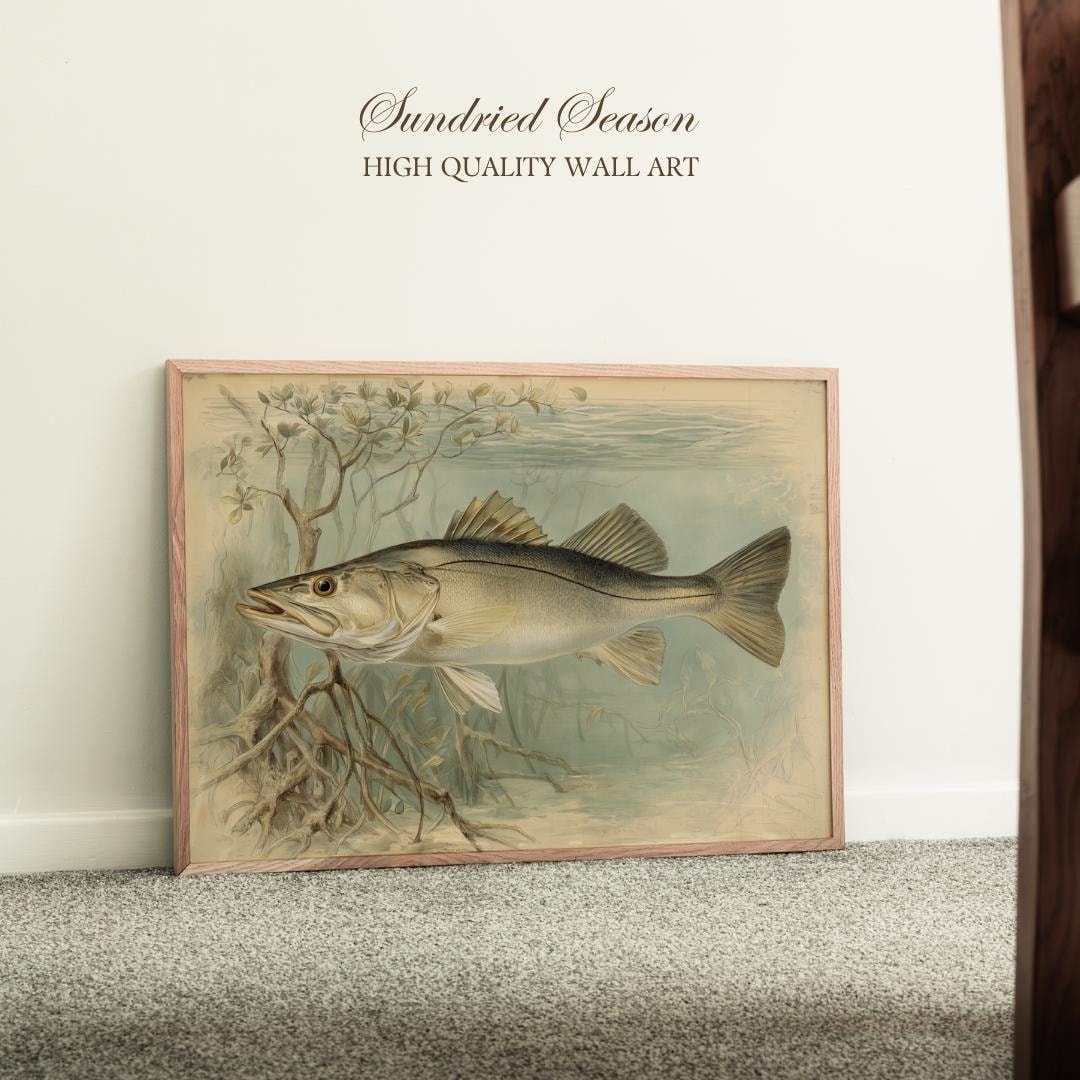 Common Snook Wall Art Print, Florida and Gulf Coast Mangrove ...