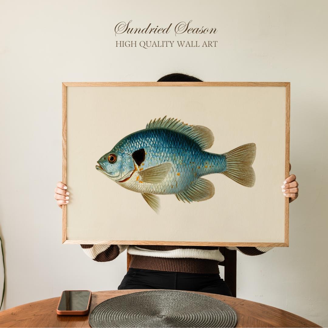 Vintage Bluegill Fish Art Print, Freshwater Sunfish Scientific ...