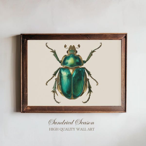 Nature Beetle Poster - Etsy UK
