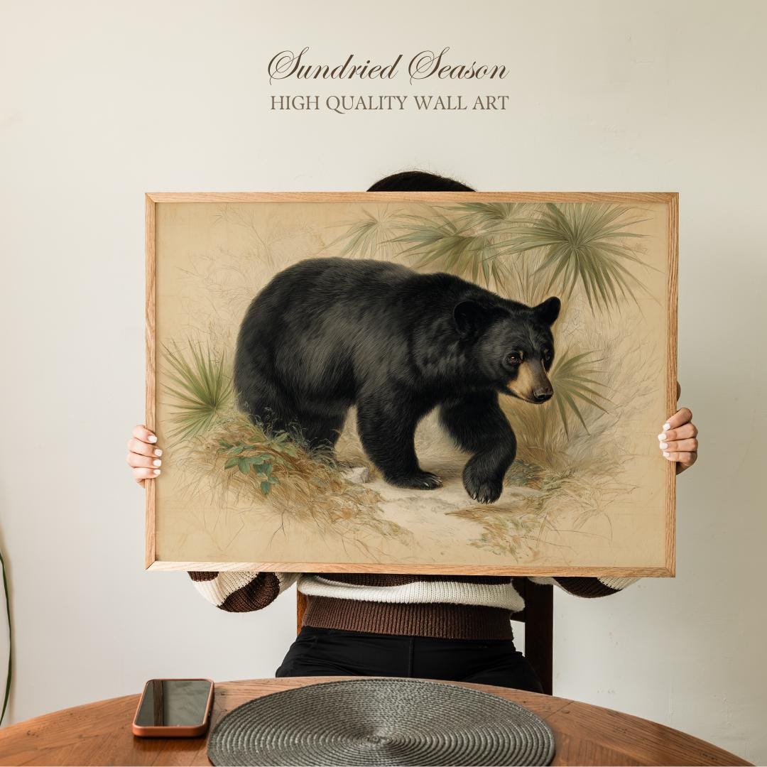 Florida Black Bear Wall Art Print, Everglades and Pine Flatwoods ...