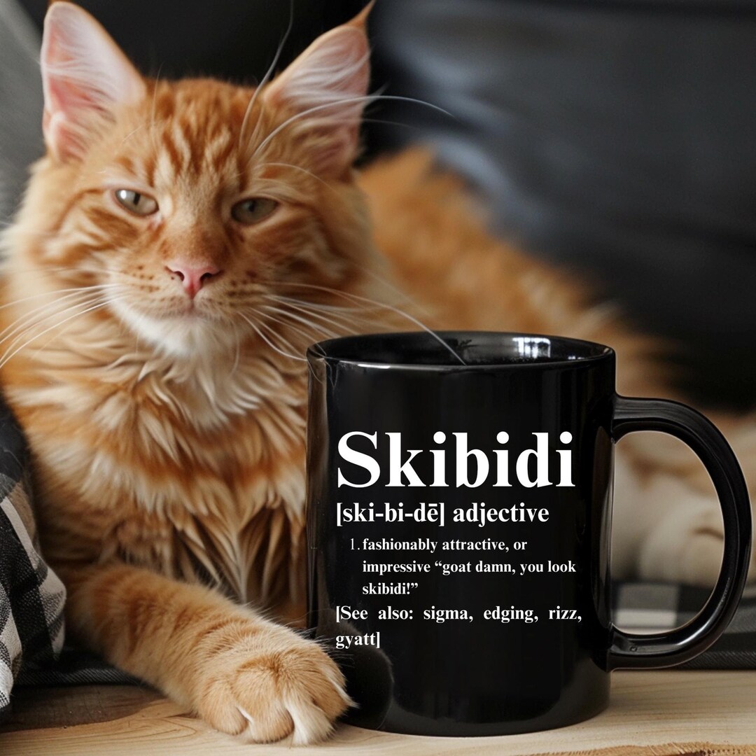 Skibidi Definition Coffee Mug, Funny Coffee Mug, Teen/tween Gift, Viral ...