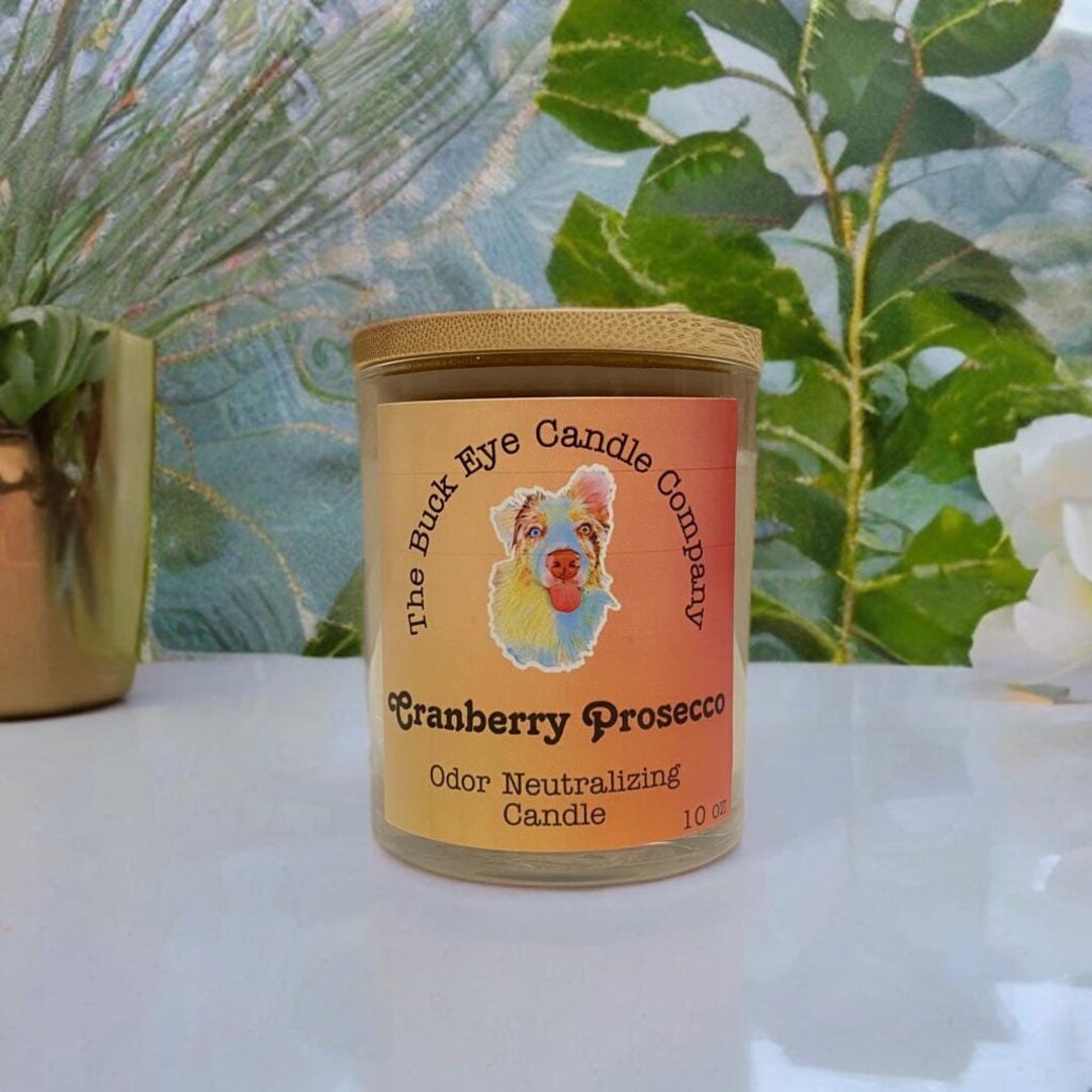 Odor Neutralizing Candle | Home Fragrance | Soy Wax Blend Candle ...