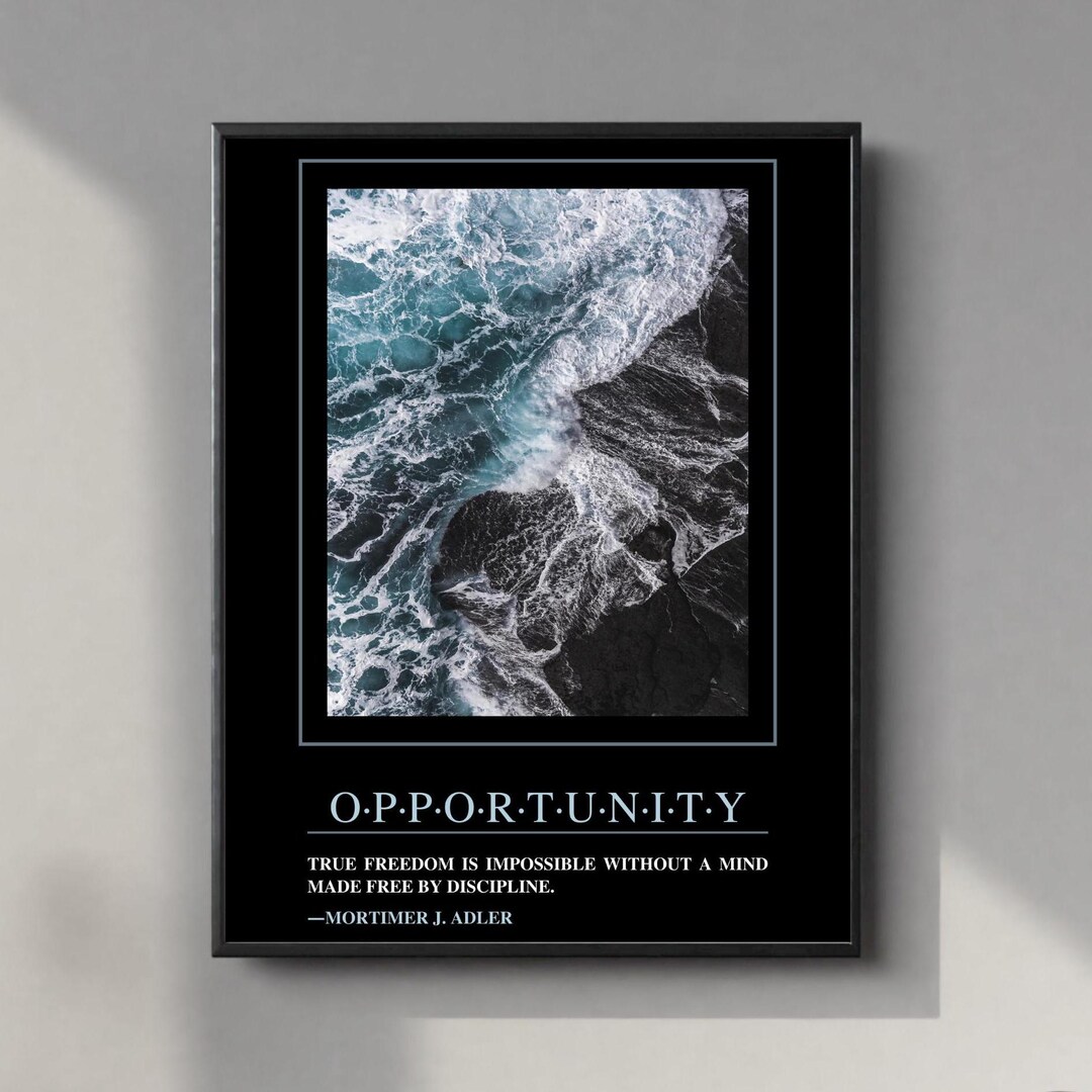 Framed Motivational Poster, Perseverance & Determination Wall Art ...