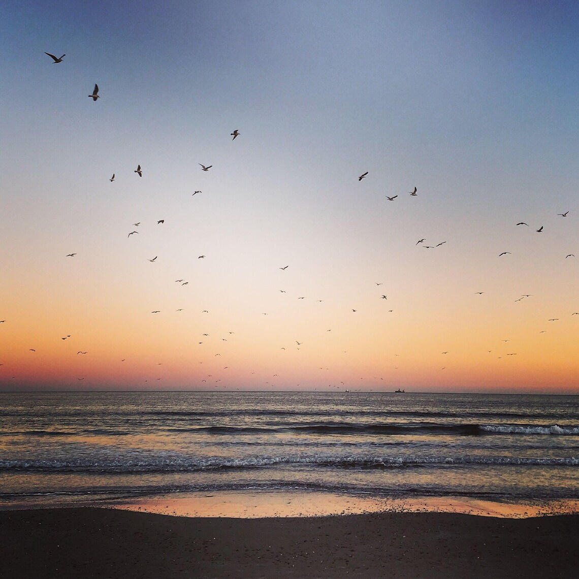 Gansett Sunset - Etsy