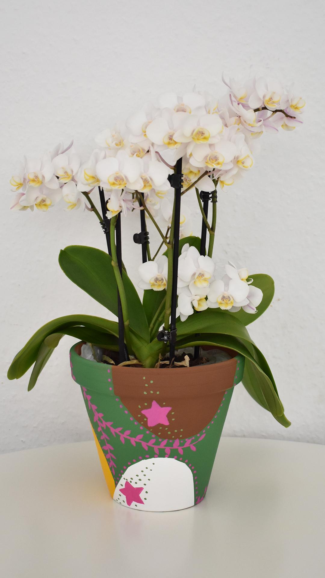 Hand-painted Terracotta Flower Pot – Unique Colorful Design - Etsy