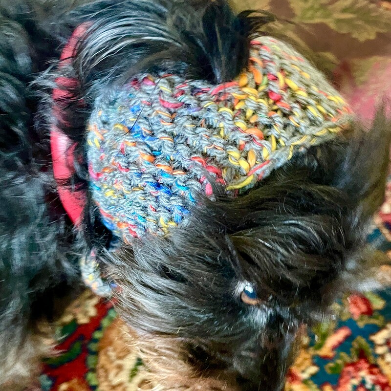 Knitted Dog Hat - Etsy