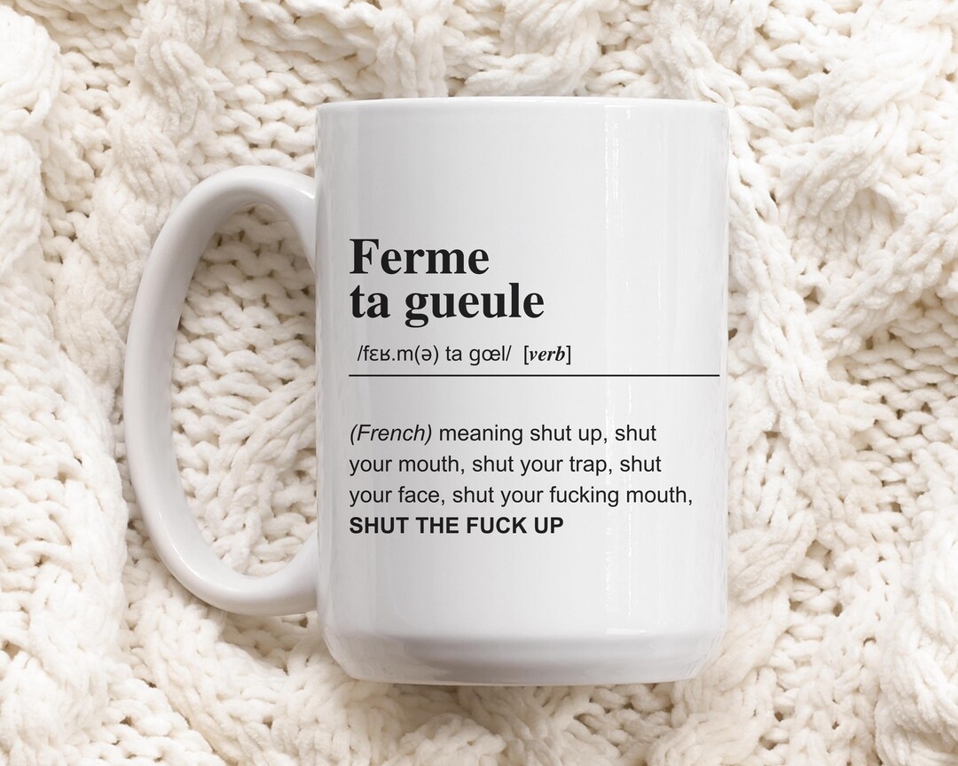 Shut up Definition Coffee Mug, Funny Mug, French Mug, Language Lover ...