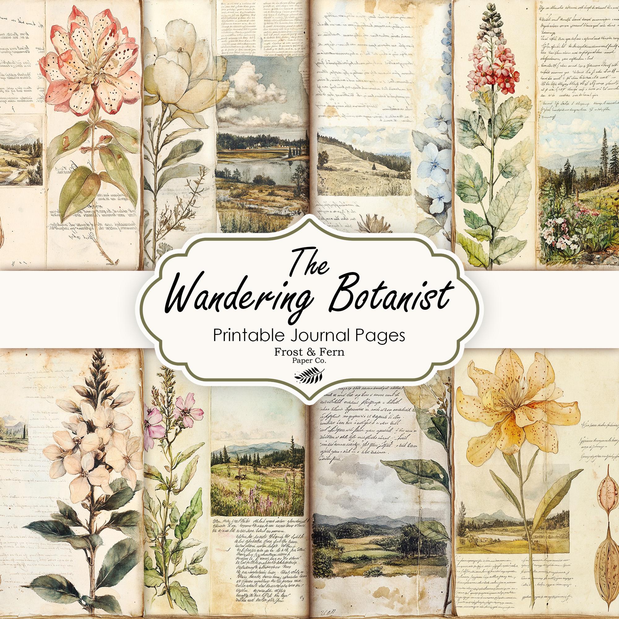 Wandering Botanist Journal Pages | Botanical Junk Journal | Nature ...