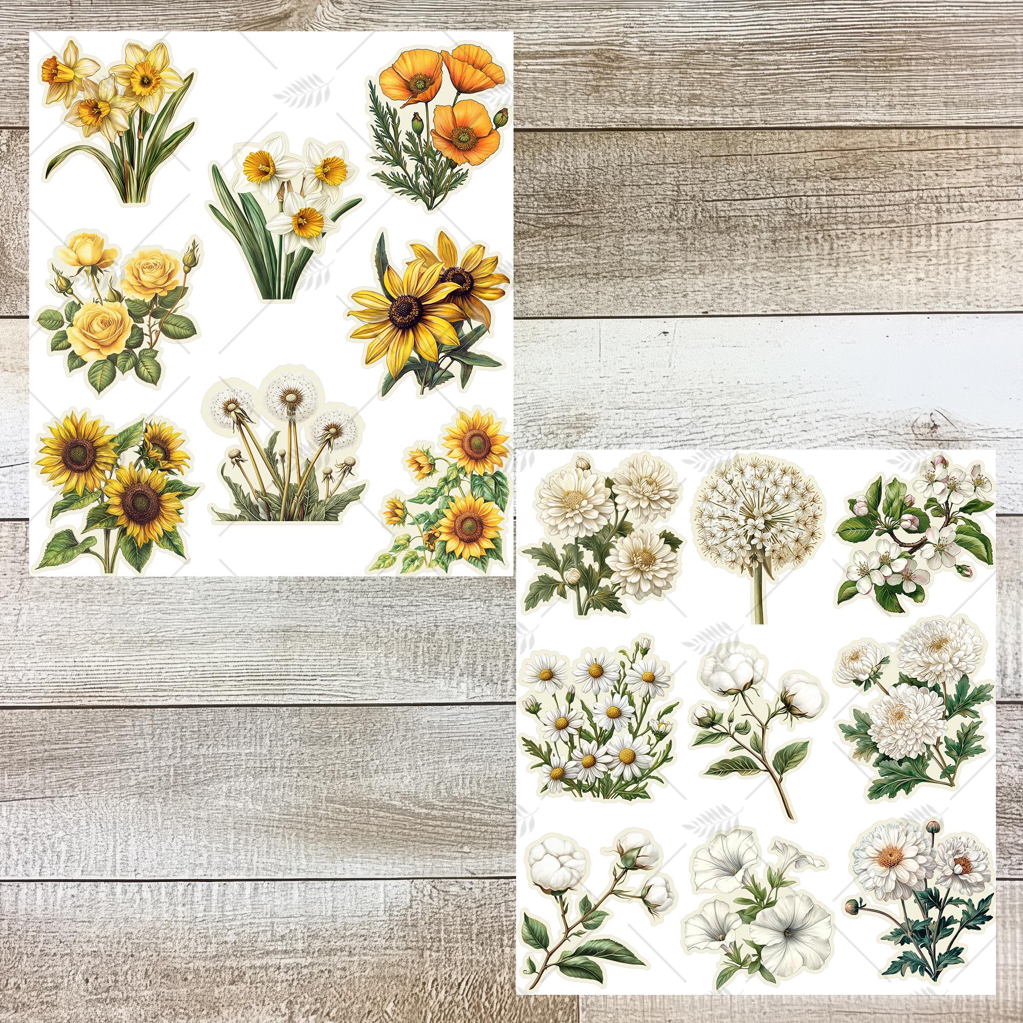 Vintage Flower Ephemera | Botanical Scrapbook Fussy Cuts (digital ...