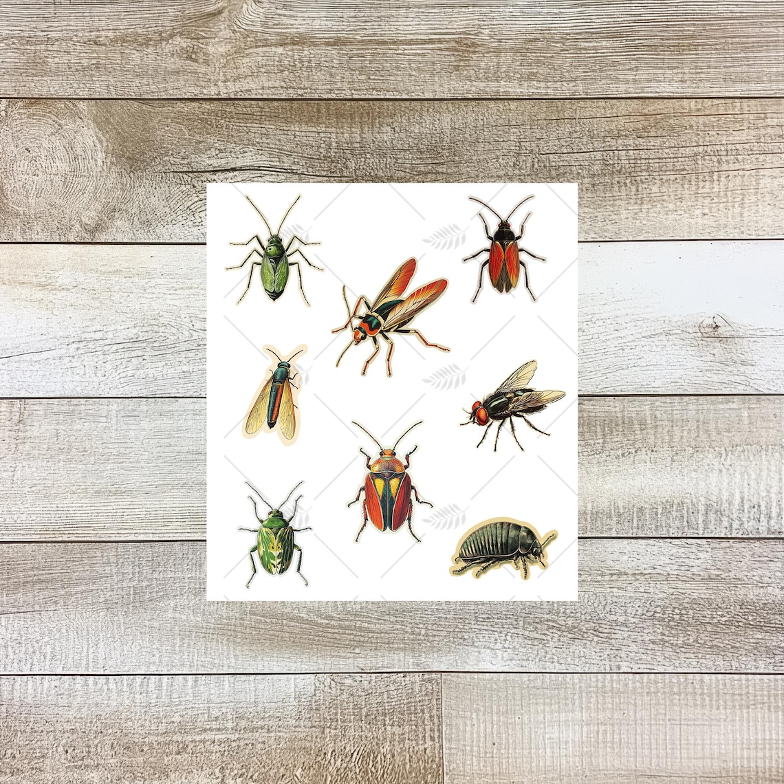 Vintage Bugs Fussy Cuts | Clip Art | Butterfly Junk Journal | Moth ...