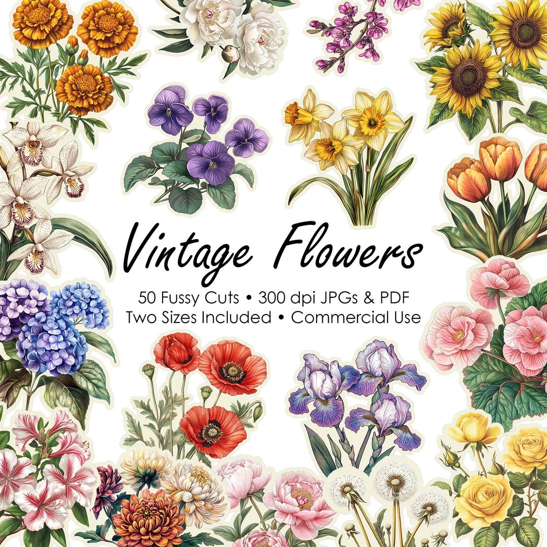 Vintage Flower Ephemera | Botanical Scrapbook Fussy Cuts (digital ...