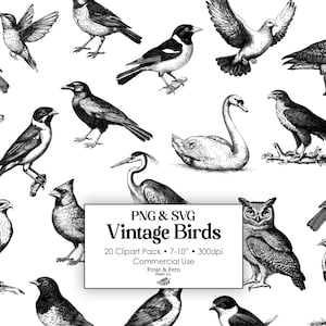 Vintage Bird Clipart – Rubber Stamp Style, PNG SVG (digital Download ...