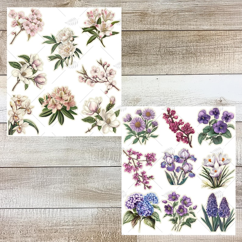 Vintage Flower Ephemera | Botanical Scrapbook Fussy Cuts (digital ...