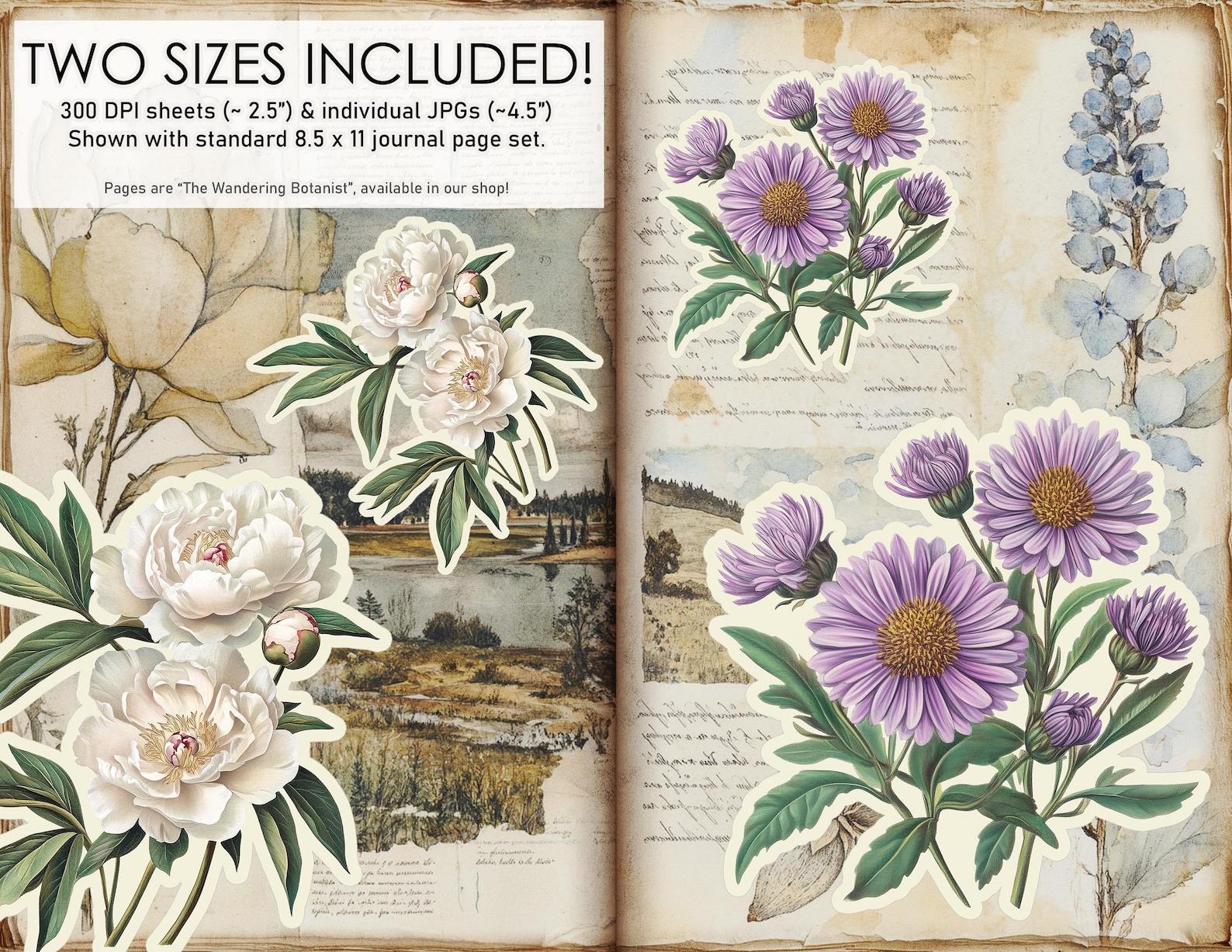 Vintage Flower Ephemera | Botanical Scrapbook Fussy Cuts (digital ...
