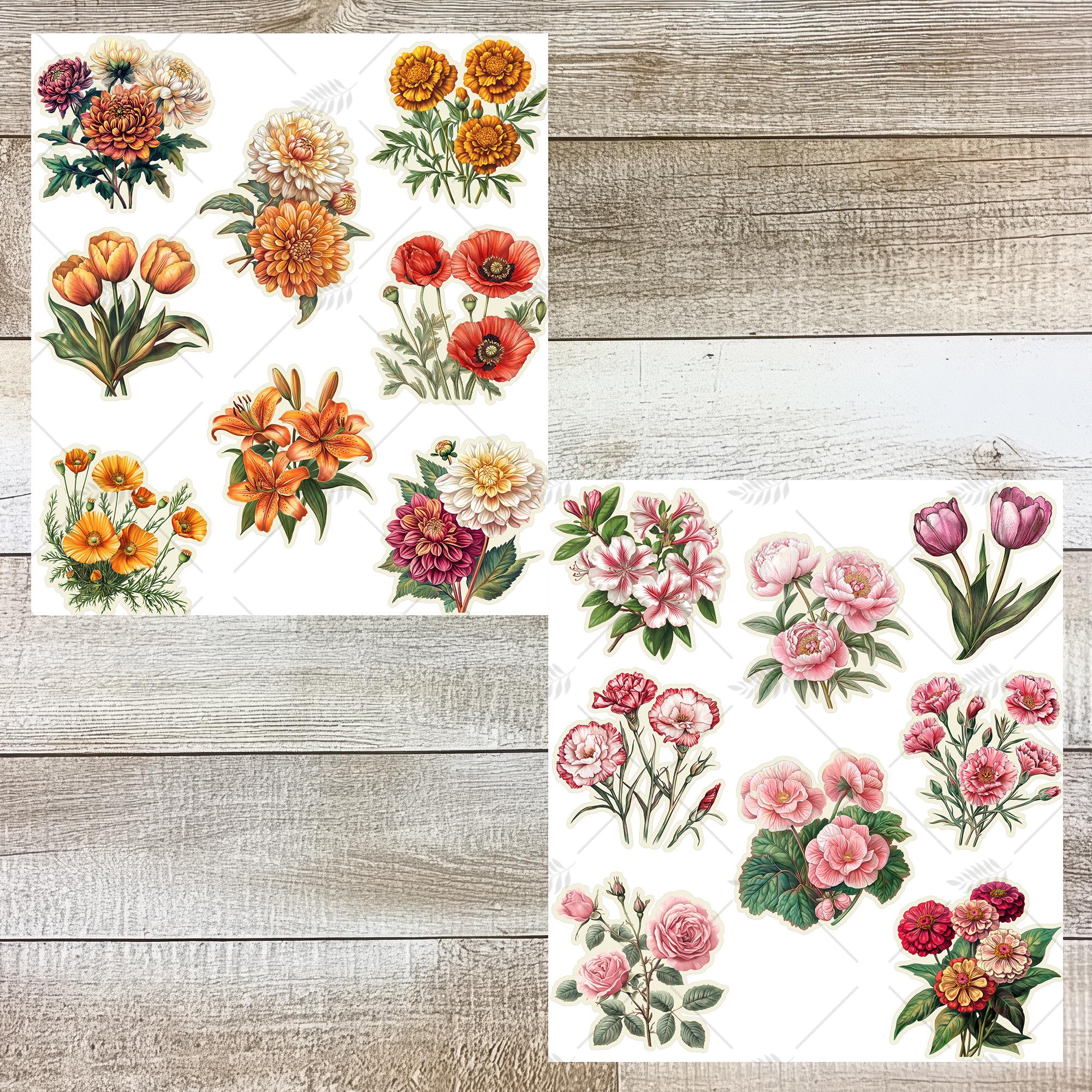 Vintage Flower Ephemera | Botanical Scrapbook Fussy Cuts (digital ...