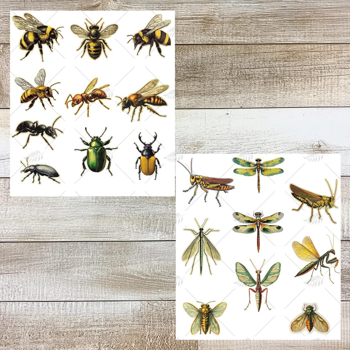 Vintage Bugs Fussy Cuts | Clip Art | Butterfly Junk Journal | Moth ...