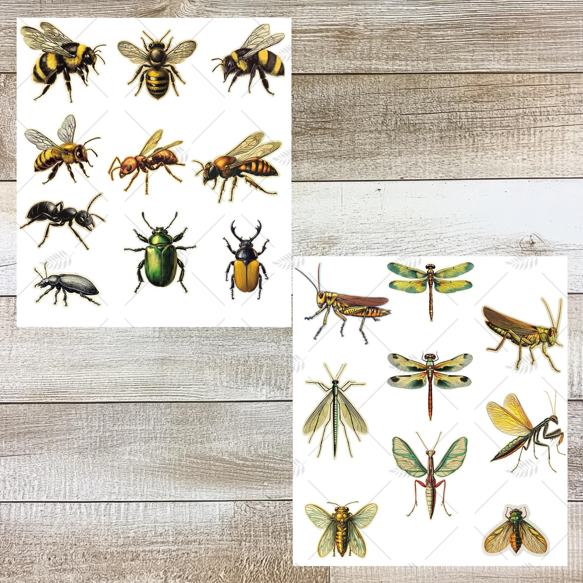 Vintage Bugs Fussy Cuts | Clip Art | Butterfly Junk Journal | Moth ...