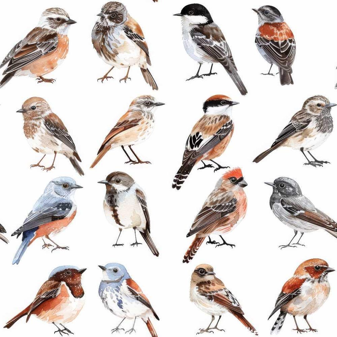 Assorted Birds Pattern Quilting Cotton Fabric - Etsy