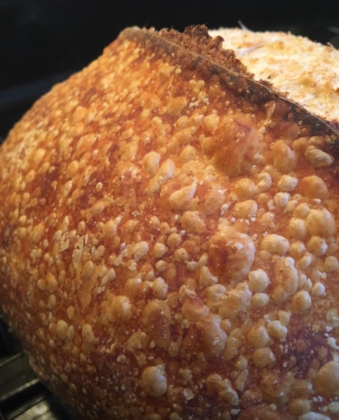 BUBBLE CRUST Easy Sourdough Bread Starter Heritage San Francisco ...
