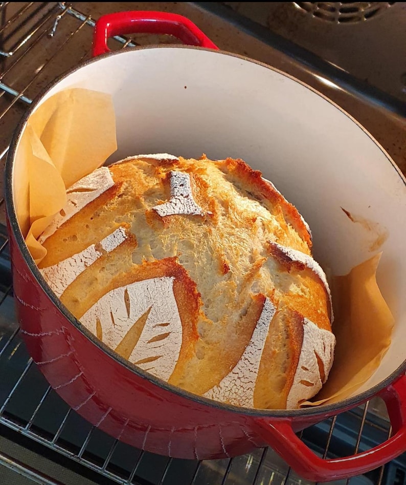 Alaskan Sourdough Starter | Live Wild Yeast Culture From Alaska ...