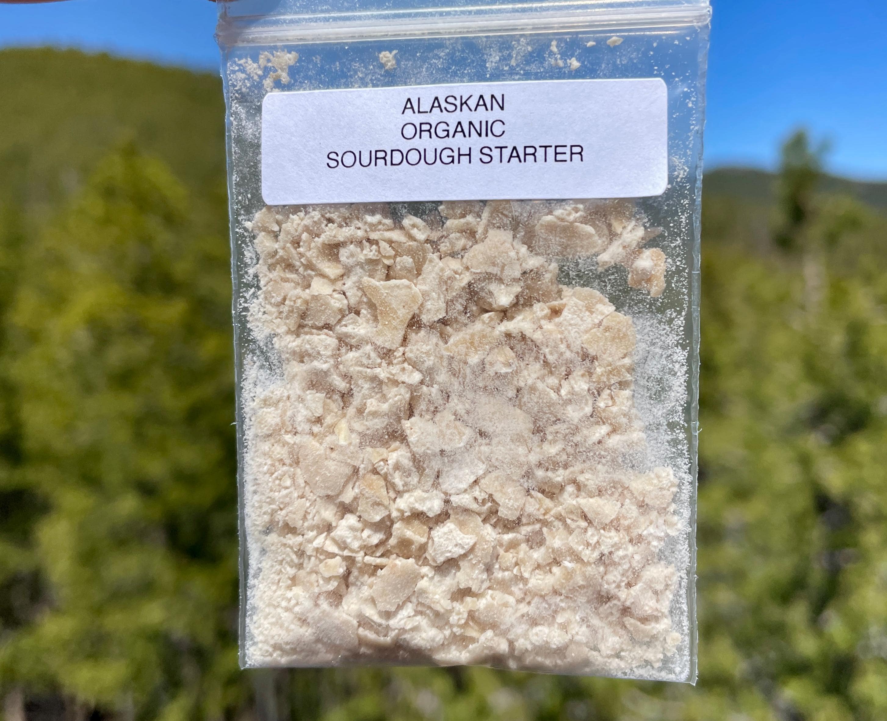 Alaskan Sourdough Starter | Live Wild Yeast Culture From Alaska ...