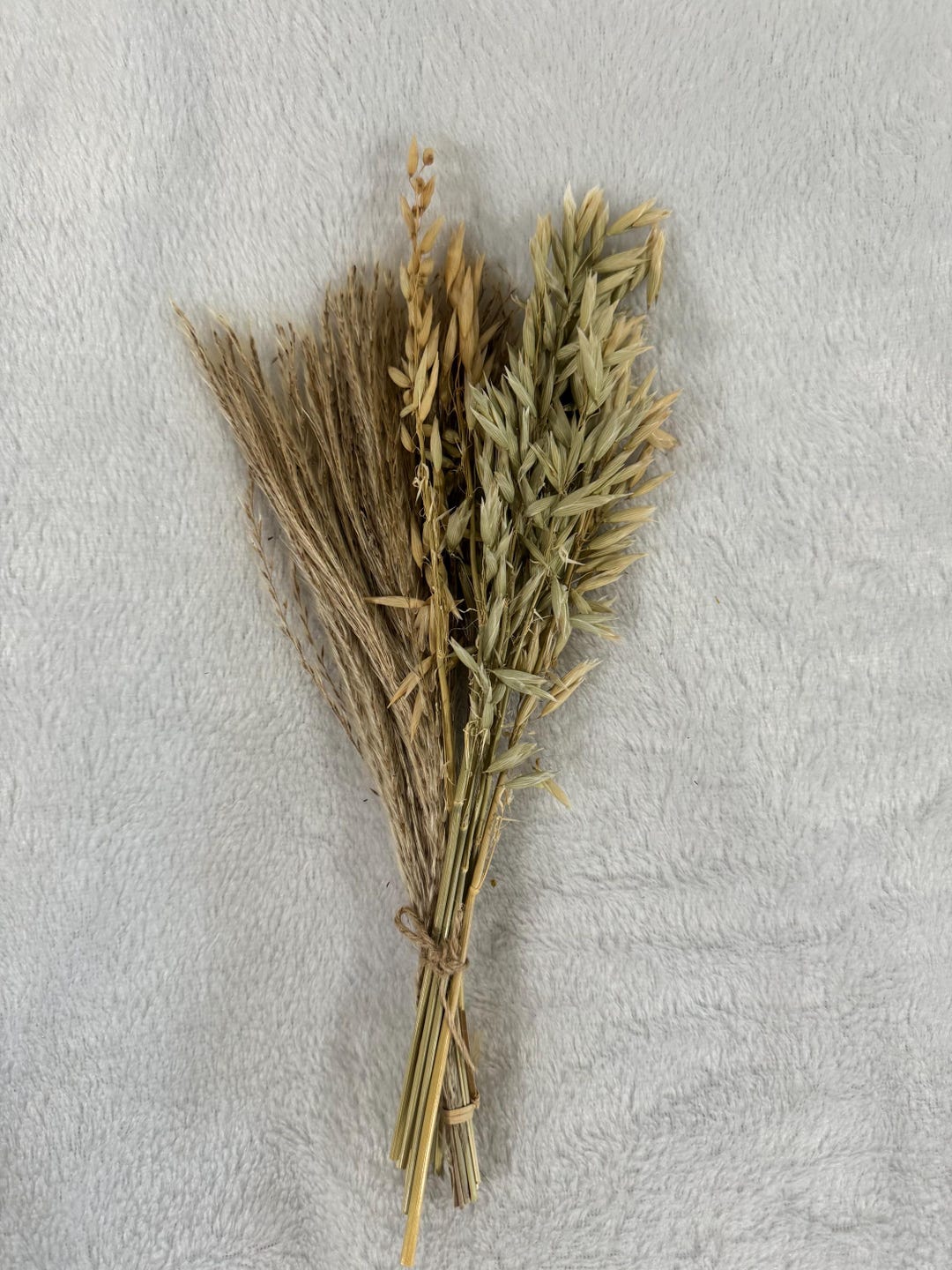 Oat & Reed Spray Bundle - Etsy