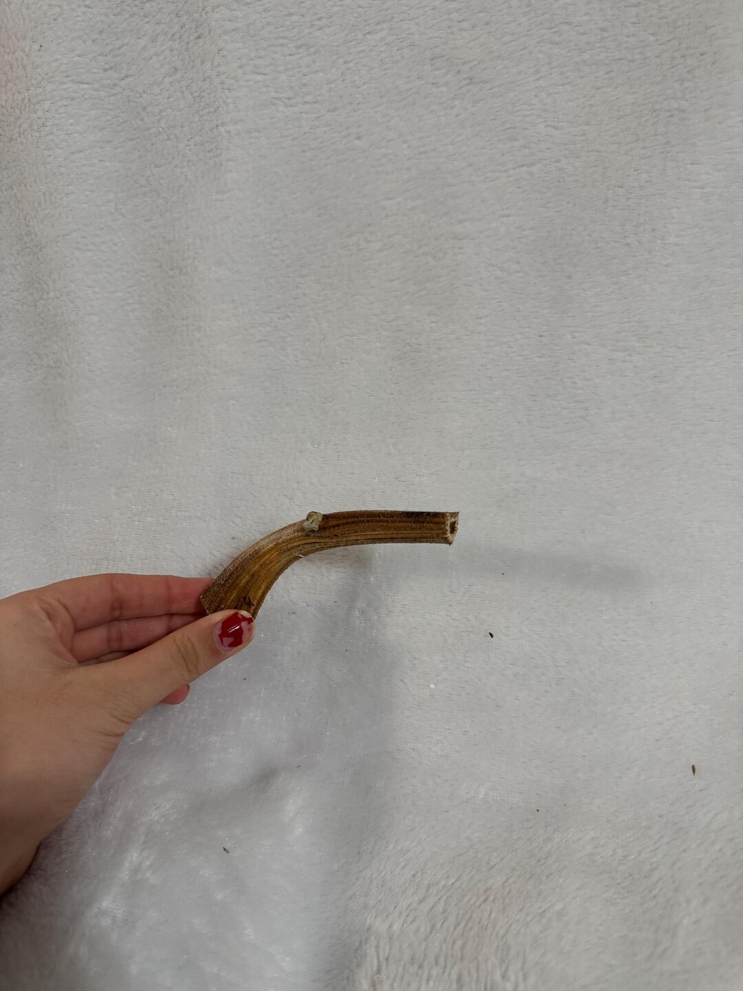 Sunflower Head Stalk Chew - Etsy
